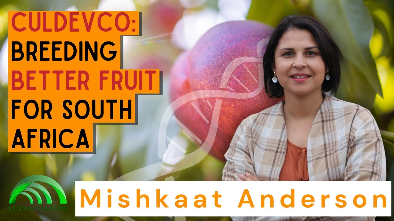 Culdevco: Breeding Better Fruit for South Africa | Ep. 114 - YouTube