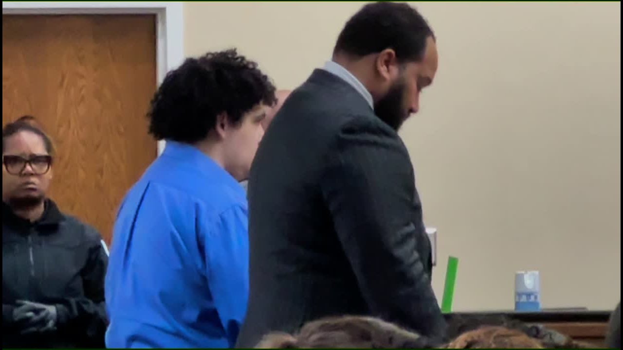 Michael Lloyd pleads guilty to murder and addresses the court before ...