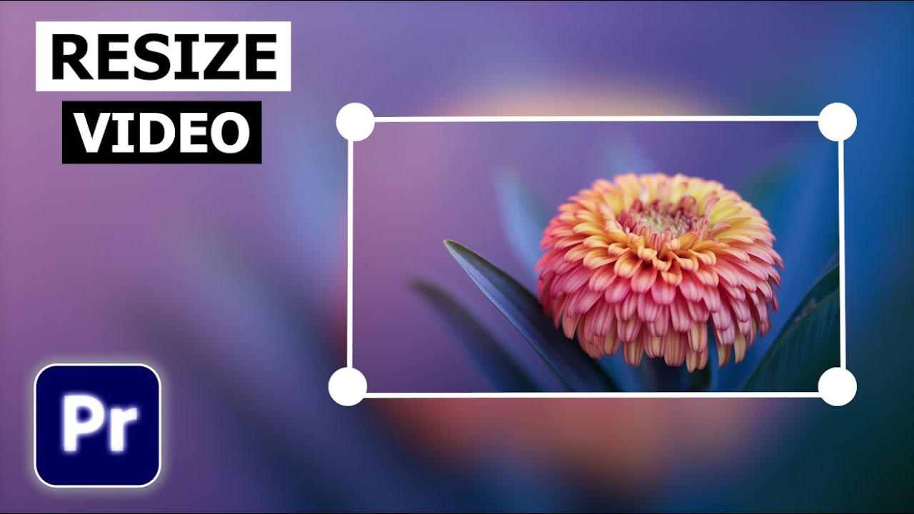 How To Change Frame Size In Premiere Pro Premiere Pro How To Change How To Change Frame Size In Premiere Pro Premiere Pro How To Change