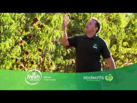 Woolworths Fresh Market Update - Peaches