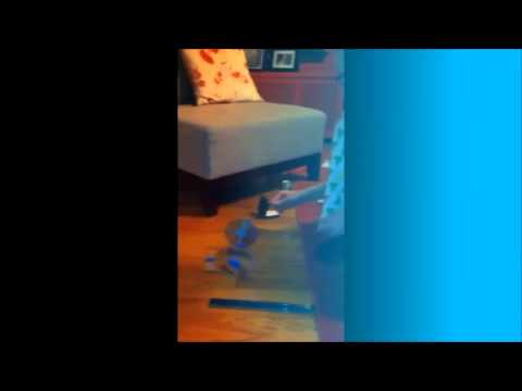 PHYSICS EXTRA CREDIT FINAL.wmv - YouTube