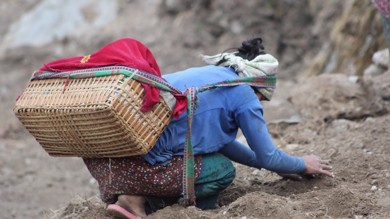 Women of Himalaya - YouTube
