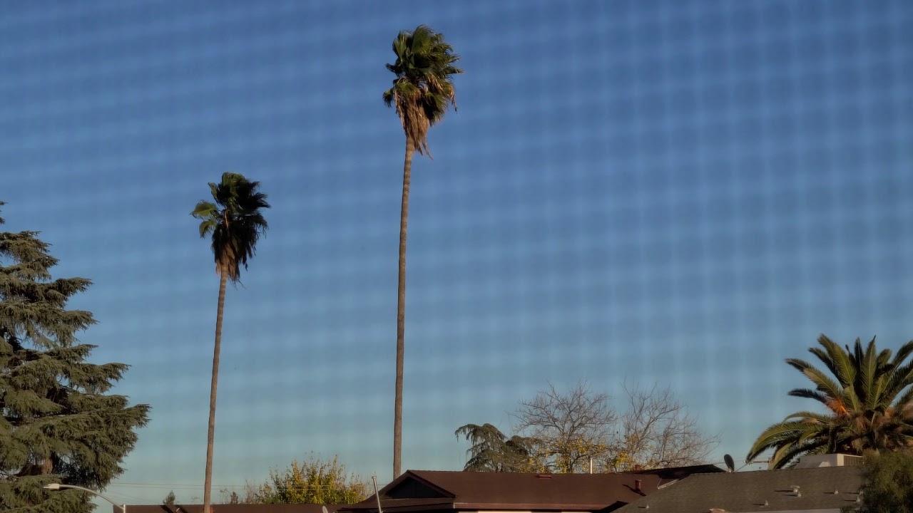 Sunny and WNW Winds 3:49pm December 7, 2020 - YouTube