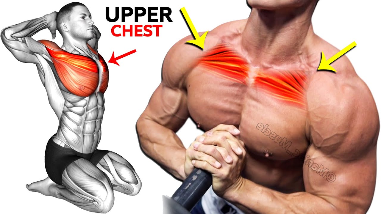 8 BEST UPPER CHEST WORKOUT MAKE YOU LOOK BIGGER - YouTube