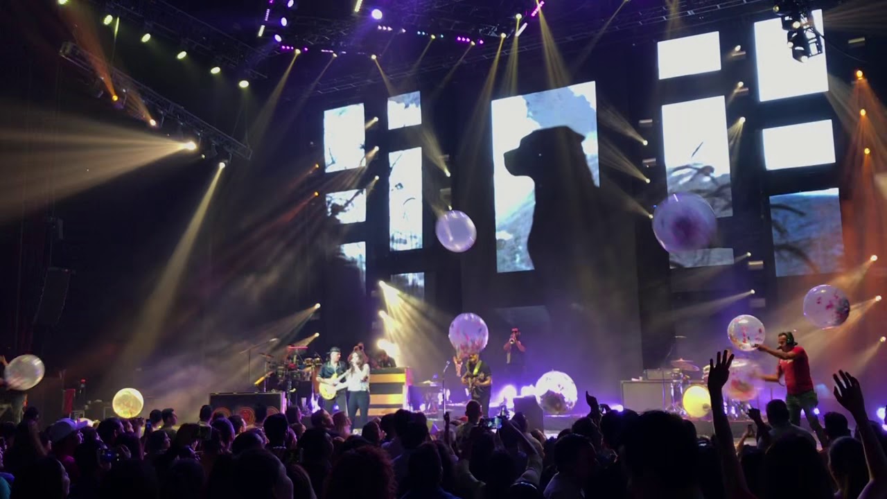 "CON QUIEN SE QUEDA EL PERRO" JESSE & JOE AUDITORIO TELMEX 2019 - YouTube