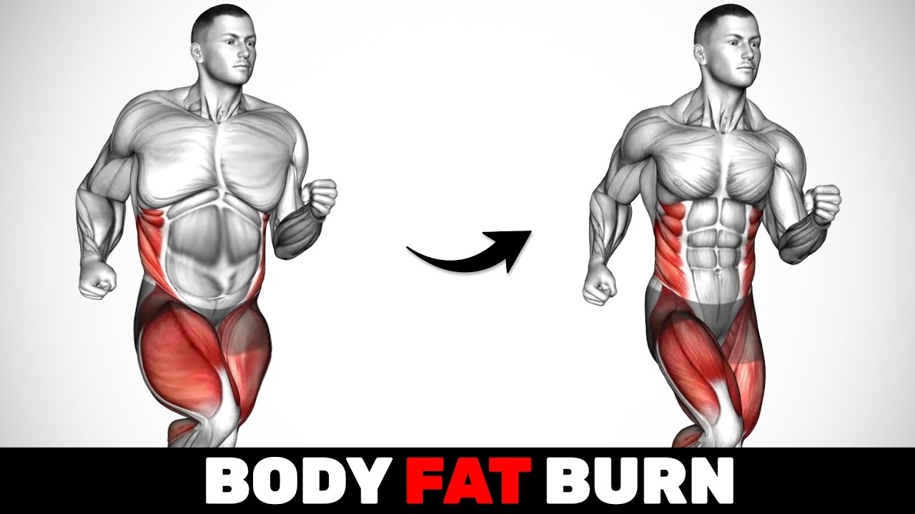 Target full body Fat with This Simple Standing-Only Routine | full body ...
