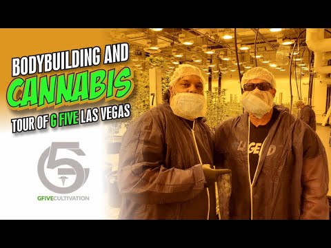 BODYBUILDING & CANNABIS-TOUR OF G FIVE LAS VEGAS. - YouTube