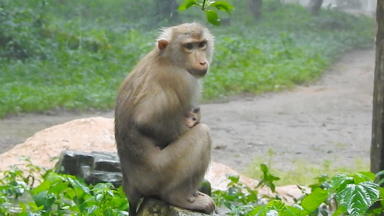 Libby is in shocked while sky is so dark quickly so she hug baby ...