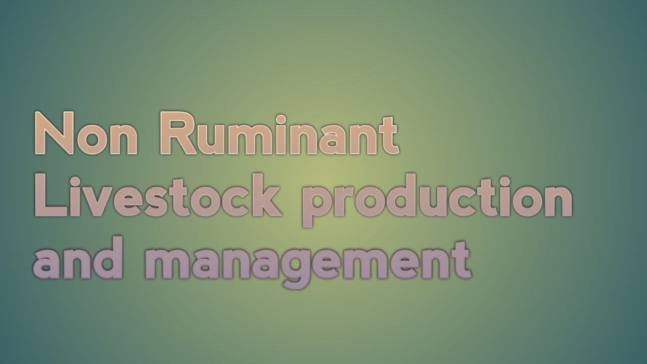Non Ruminant livestock Production and management previous year question ...