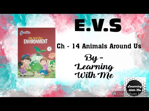E.V.S | Ch - Animals Around Us |Class 1#Learn in easy way #Full ...