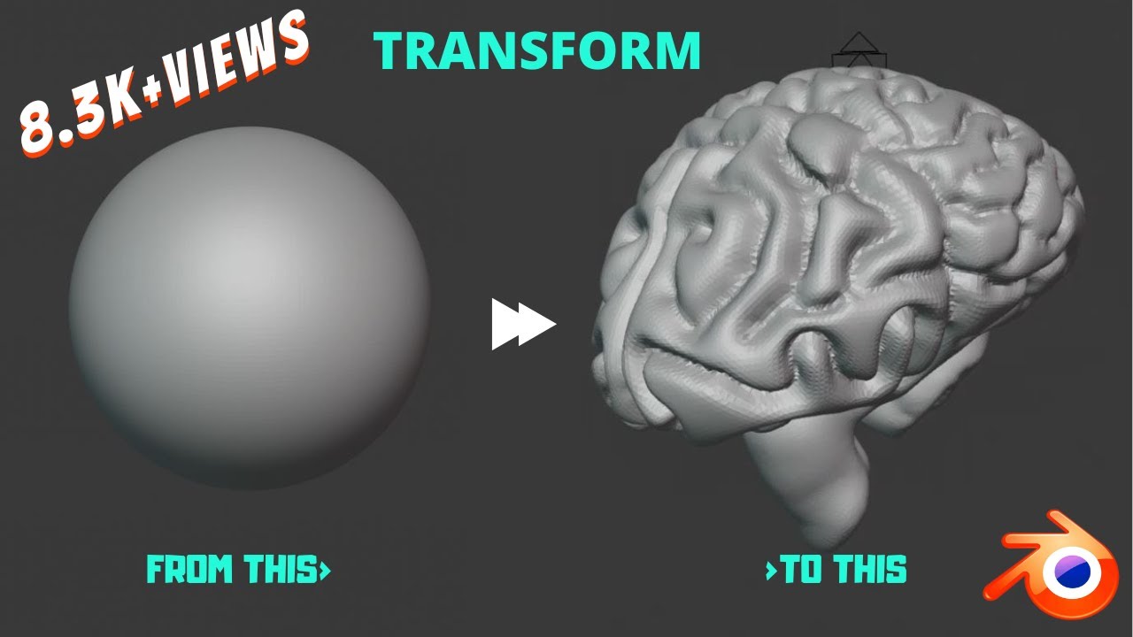 SCULPTING HUMAN BRAIN USING |BLENDER 2.8| @TheIndianStopwatch - YouTube