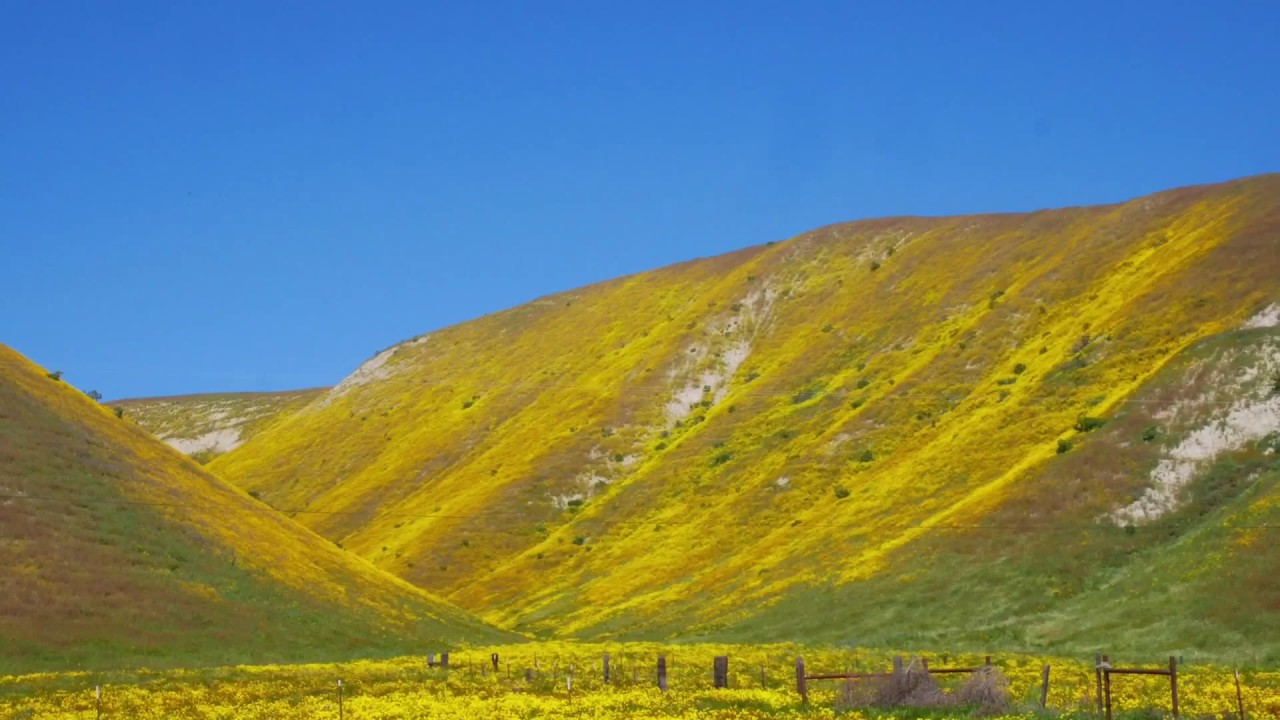 Bitterwater Road & Shell Creek Road "The valley of wildflower" - YouTube
