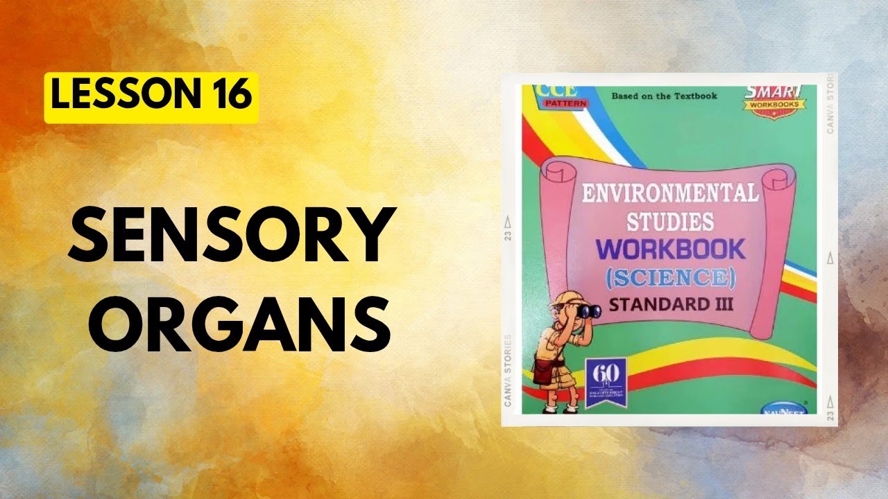 Std 3|Lesson 16|Sensory organs|Science Workbook Question Answers| - YouTube