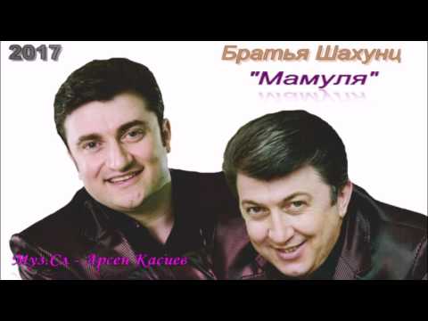 Братья Шахунц 2017 \