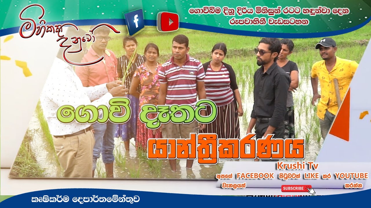 Mihikatha Dinuwo TV Program | ගොවි දැතට යාන්ත්‍රී කරණය | 2023-02-10 ...
