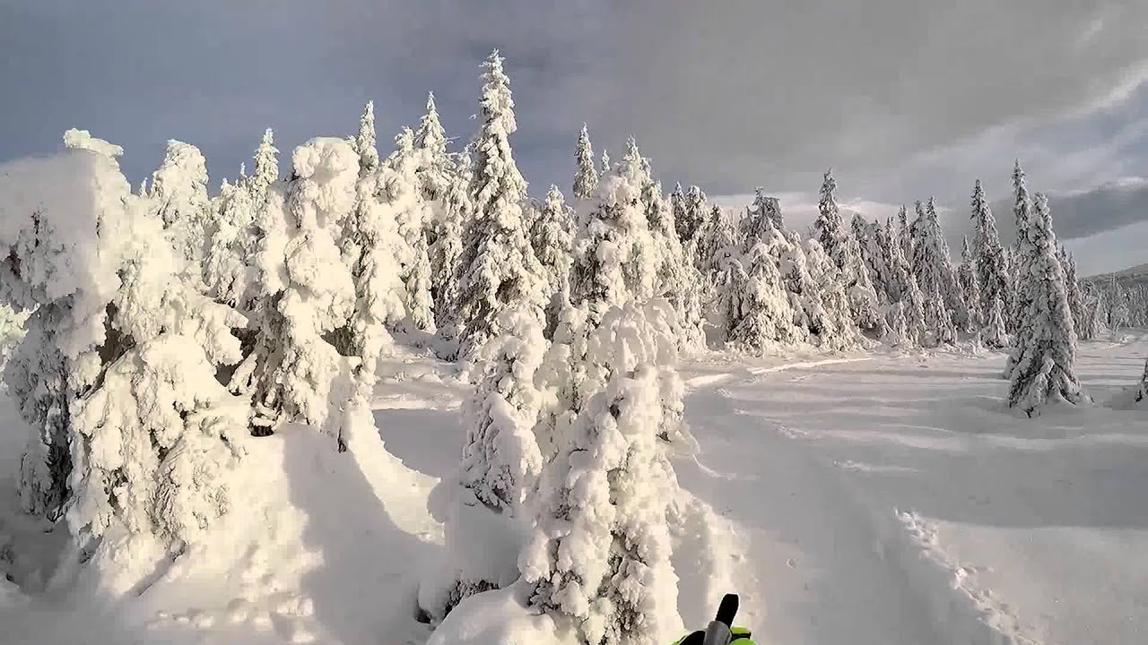 Ski orienteering in Sjusjoen, Norway 2014 - YouTube