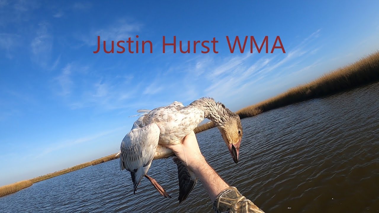 LAST pick of the draw! - YouTube