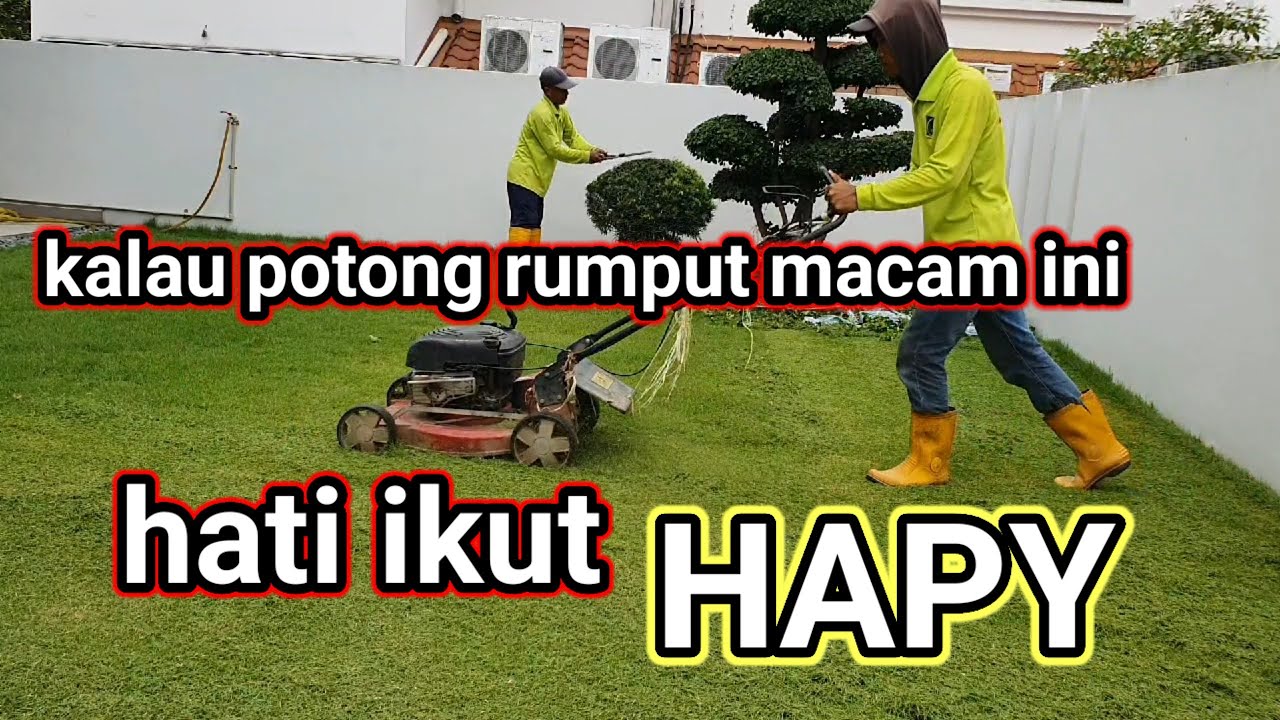 kerja potong rumput di Malaysia‼️ 03 September 2023 #mesinrumput - YouTube