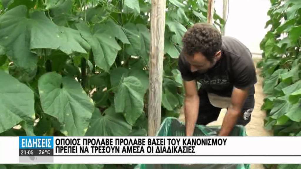 ΠΤΥΧΙΟΥΧΟΙ ΣΤΗΝ ΙΕΡΑΠΕΤΡΑ ΣΤΡΕΦΟΝΤΑΙ ΣΤΗΝ ΚΑΛΛΙΕΡΓΕΙΑ ΓΗΣ - YouTube