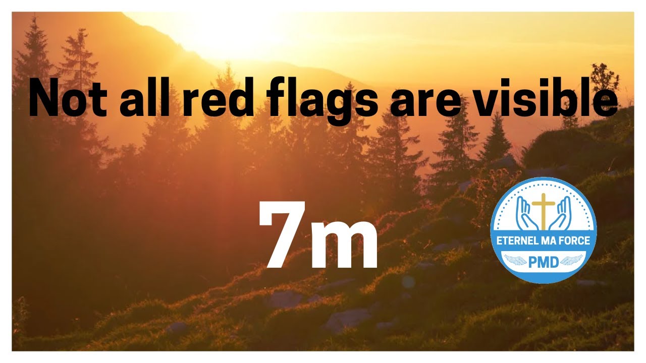 Not all red flags are visible - PMD #81 - YouTube