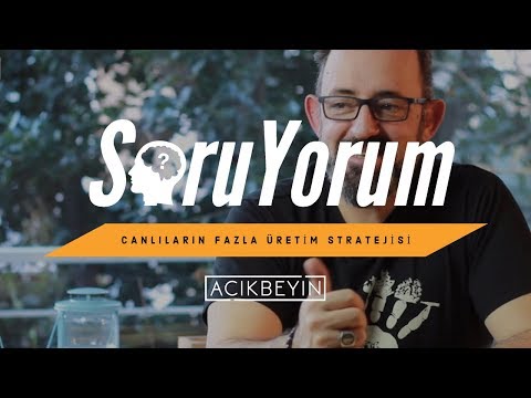 SoruYorum - Canlılarda Fazla Üretim Stratejisi