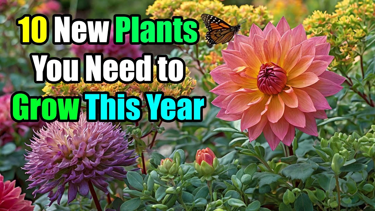 10 New Plants You Need to Grow This Year | 10 Beautiful New Varieties ...