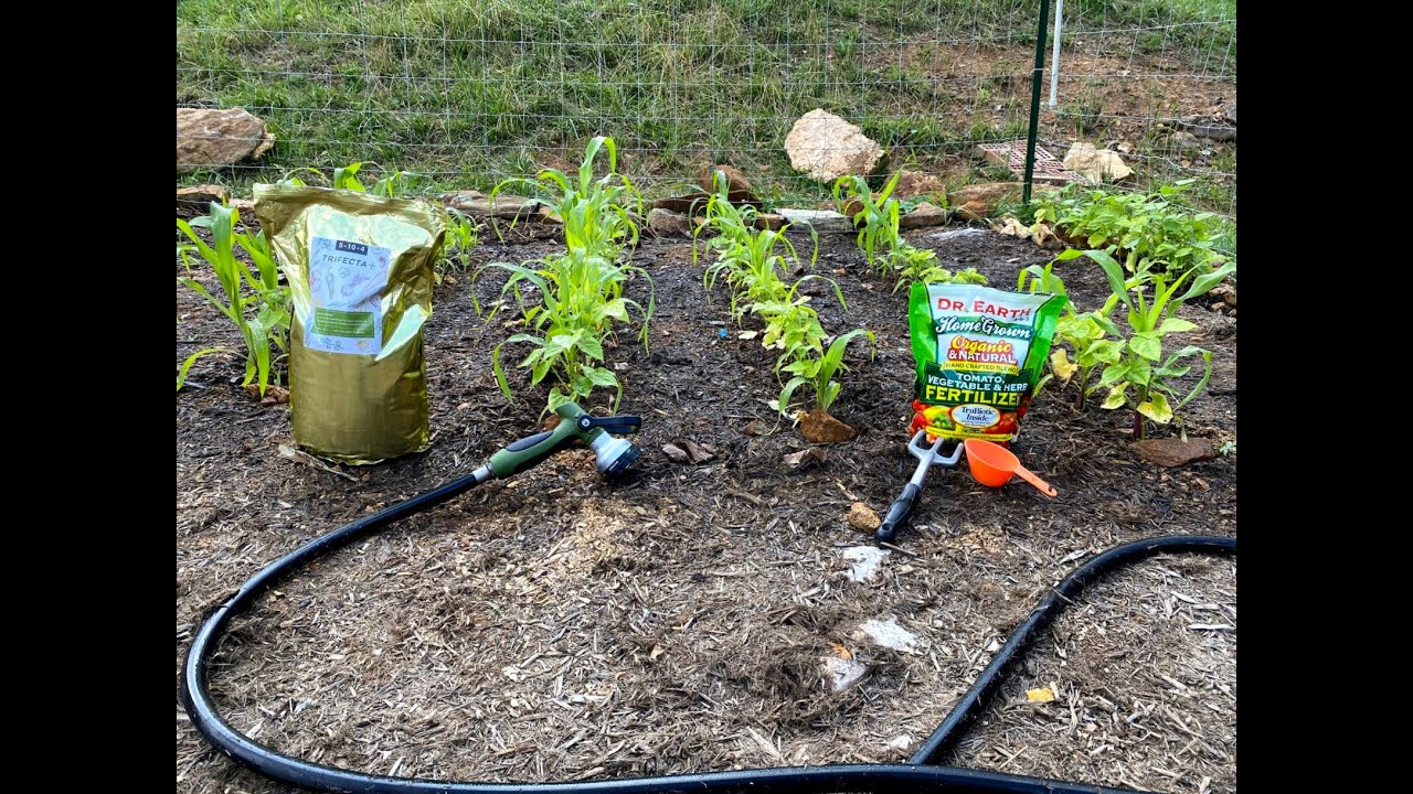 MiGardener's Trifecta Garden Fertilizer vs Dr Earth...Which one is in ...