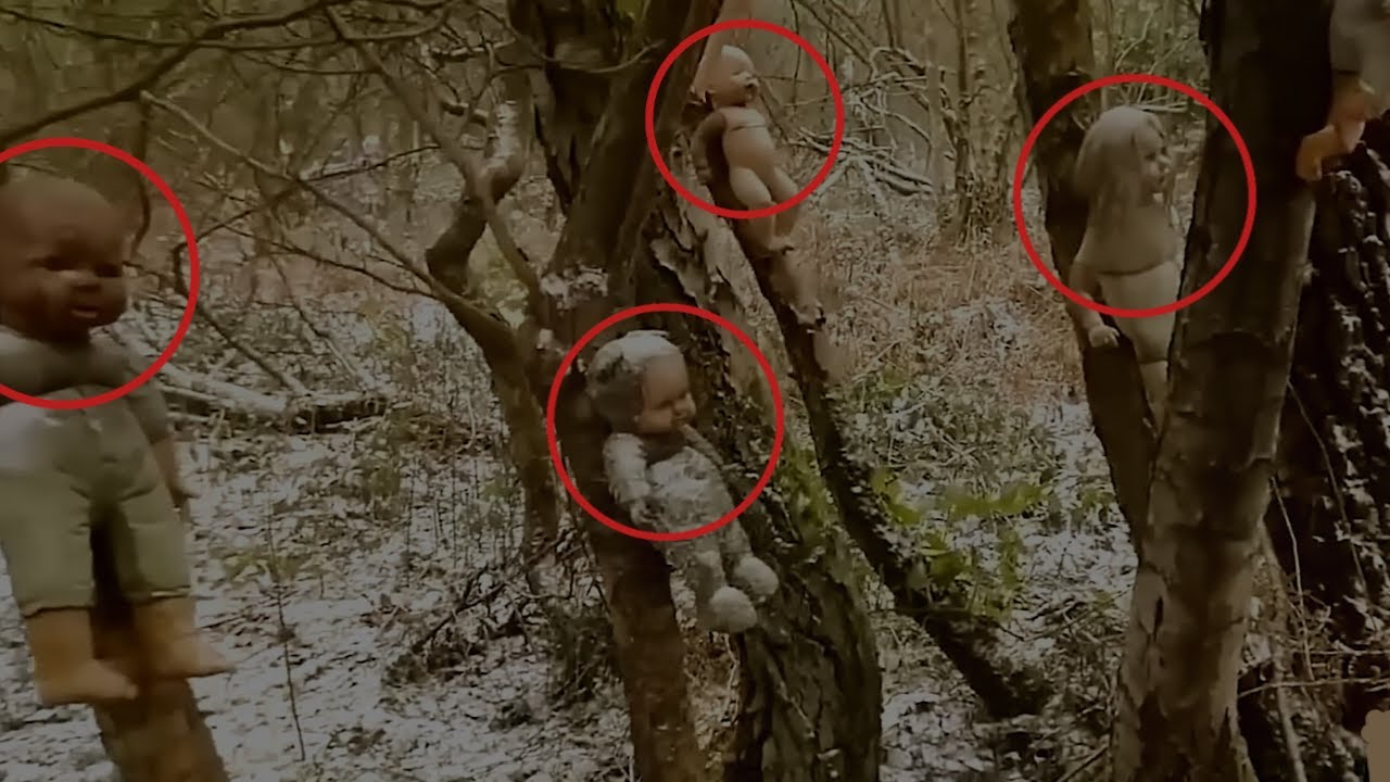 IT'S TERRIFING! These are the SCARIEST Footage Ever Caught On Camera ...