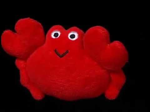 Closing To Baby Neptune 2003 DVD