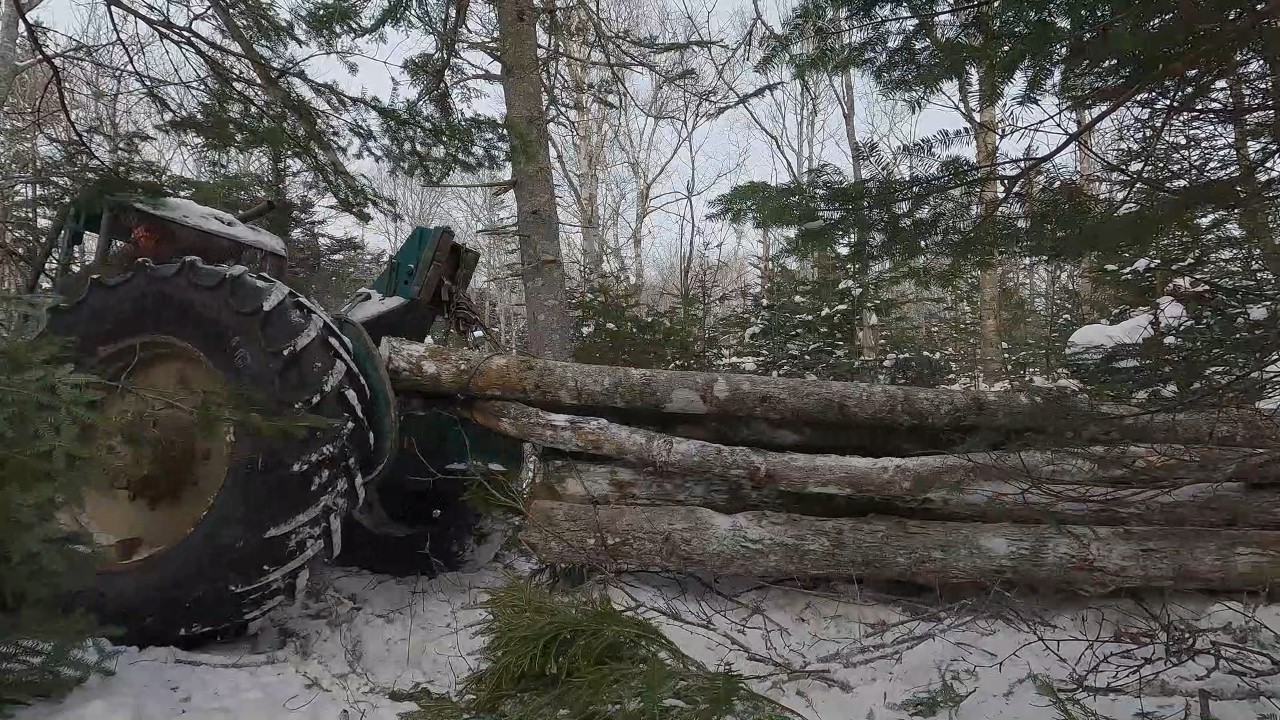 Cutting maple clumps AND great trick for skidding logs Timberjack ...