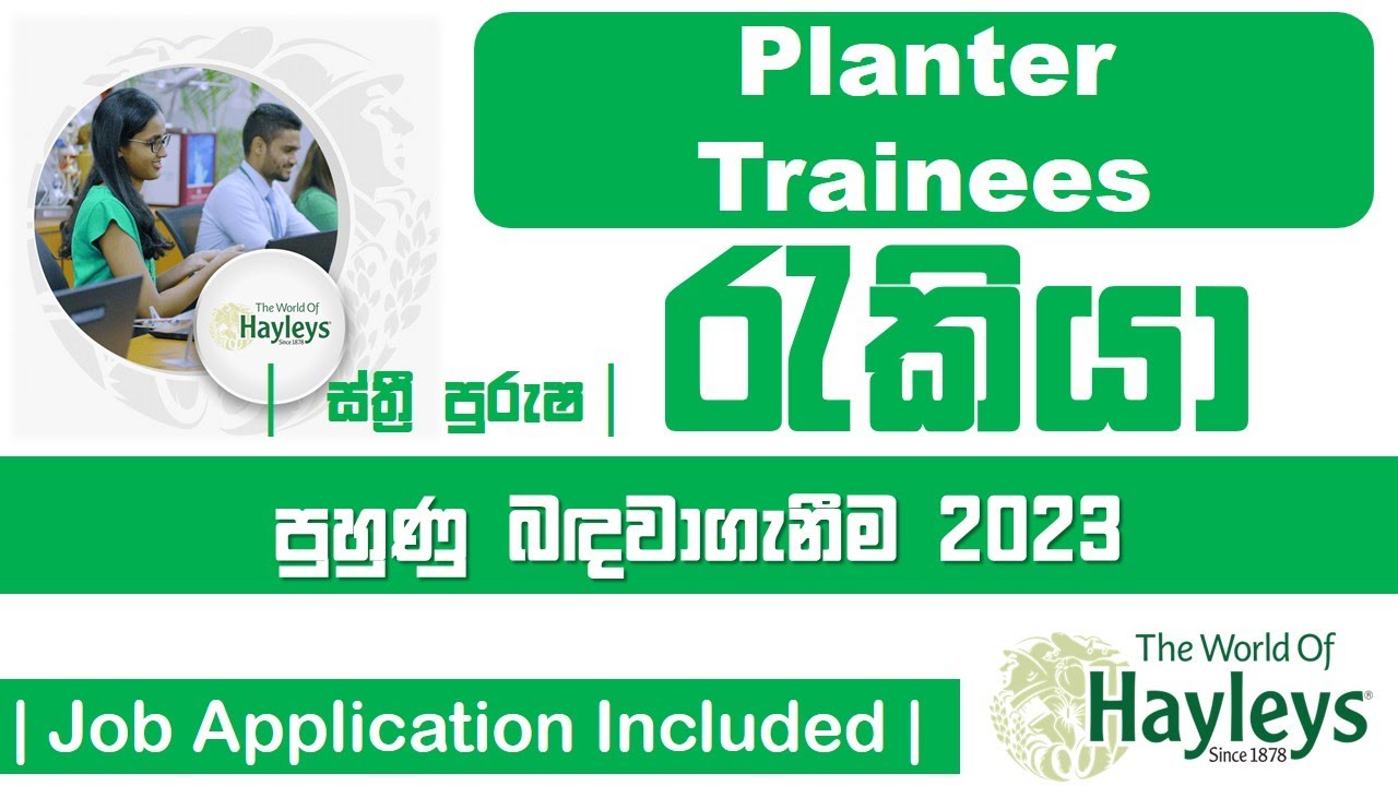 Planter Trainee Jobs After AL | Under Hayleys Group #jobguidesrilanka ...