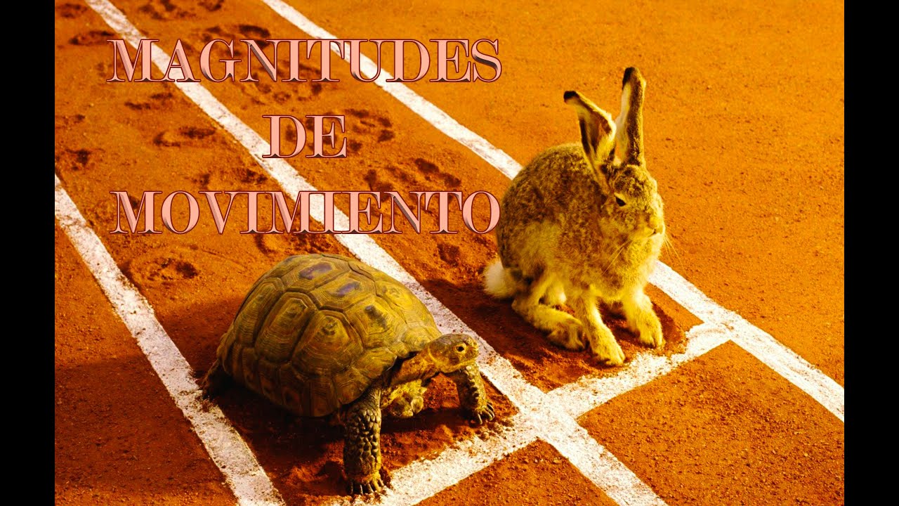 EJERCICIO DE LA CARRERA ENTRE LA LIEBRE Y LA TORTUGA - YouTube