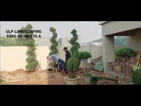 2 kanal house Inside garden Landscaping plantation designing ULP ...