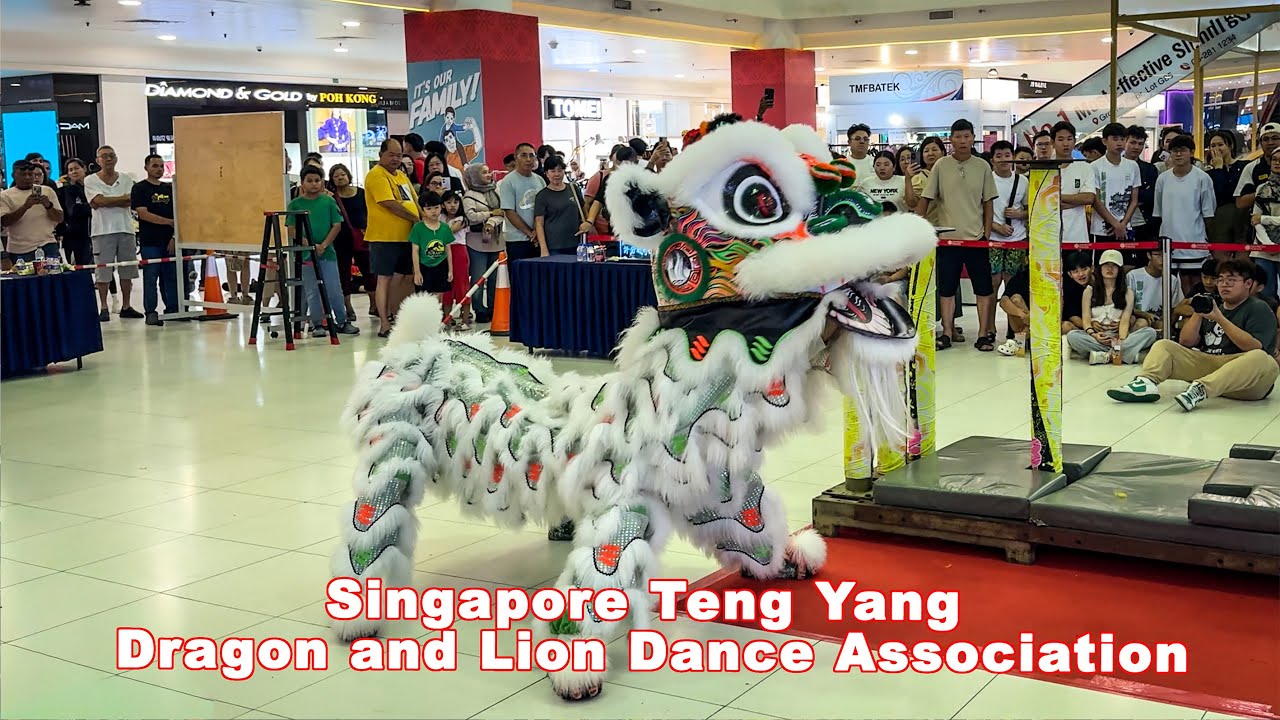 新加坡腾阳龙狮体育会 | Kejohanan Tarian Singa Tiang Tinggi 2025 | 2025 第一届《古城杯》高桩 ...