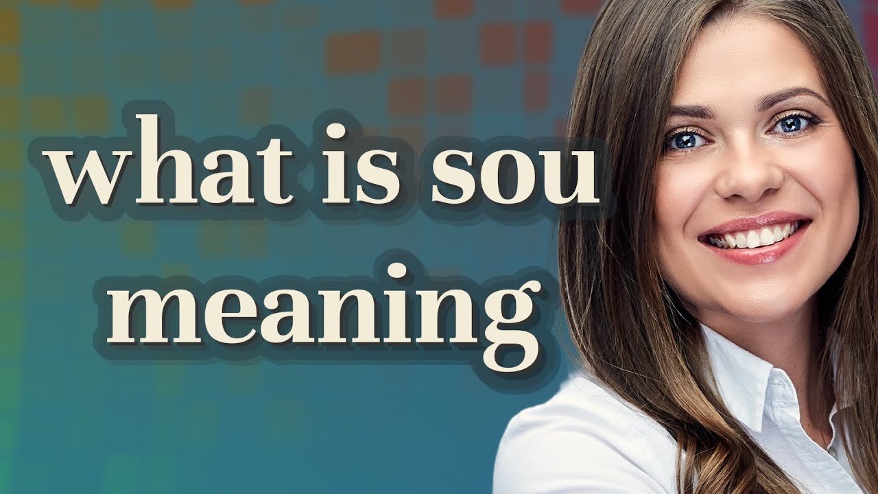 Sou | meaning of Sou - YouTube