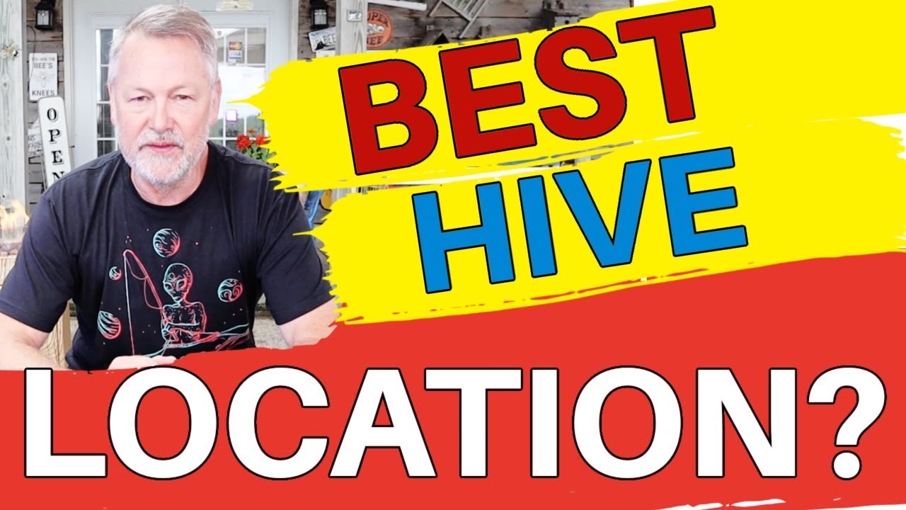 Beekeeping | Where Is The Best Location For Your Hive, Facing South ...