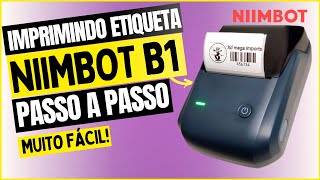 Niimbot B1 imprimindo etiquetas personalizadas passo a... | Doovi