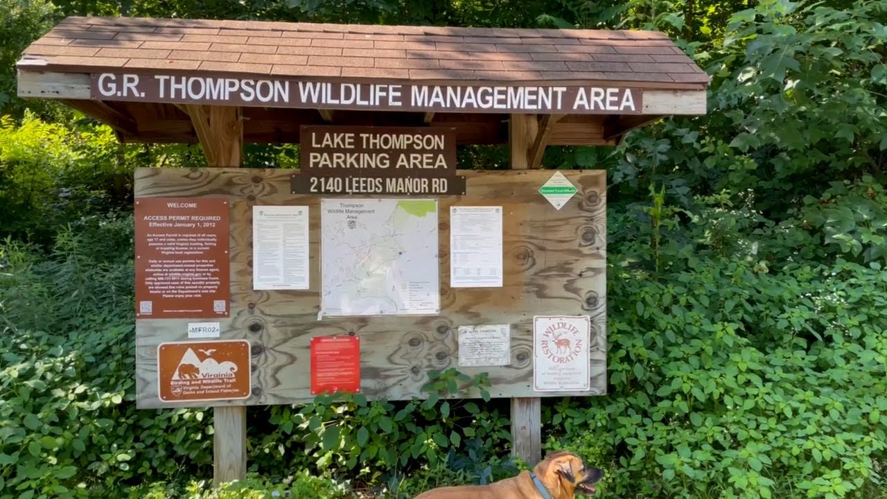 GR Thompson WMA - YouTube