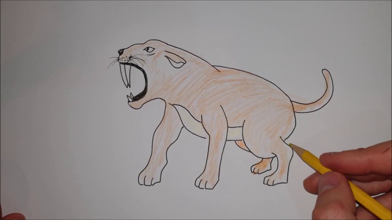 Kako nacrtati Sabljastog Tigra/How to draw an easy Saber-Toothed Tiger ...