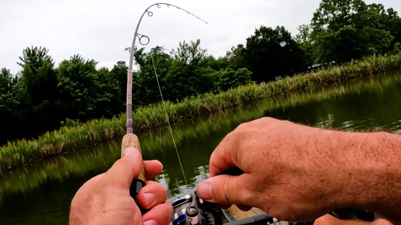Crappie and bluegill fishing in the kayak - YouTube