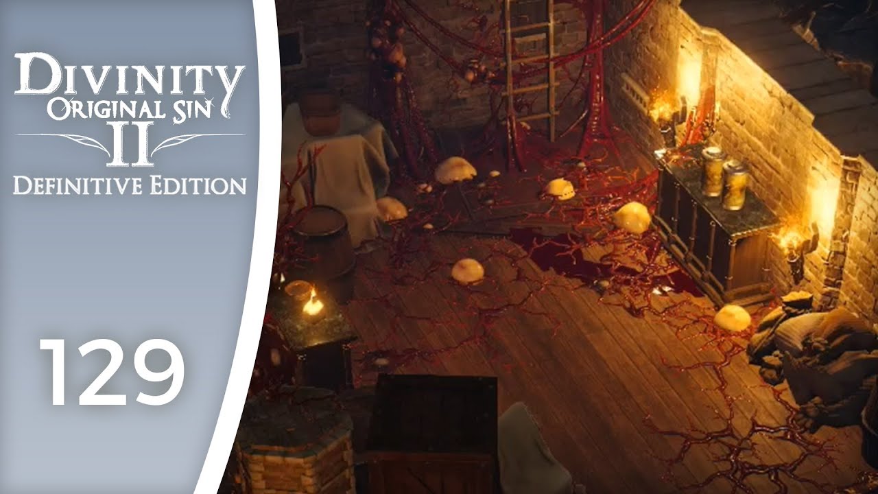 An icky basement - Let's Play Divinity: Original Sin 2 - Definitive ...