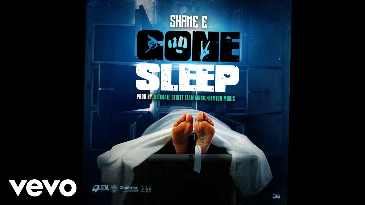Shane E - Gone Sleep (Official Audio) - YouTube