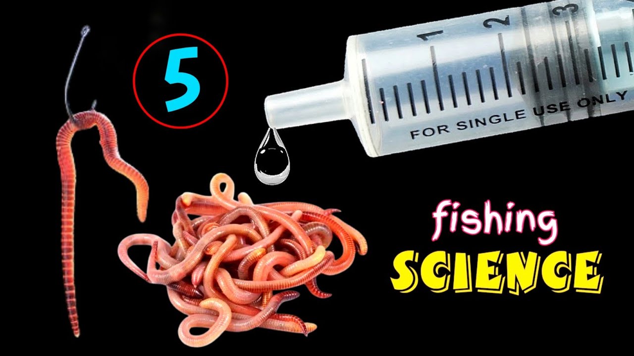 Best 5 Fishing Science Compilation - YouTube