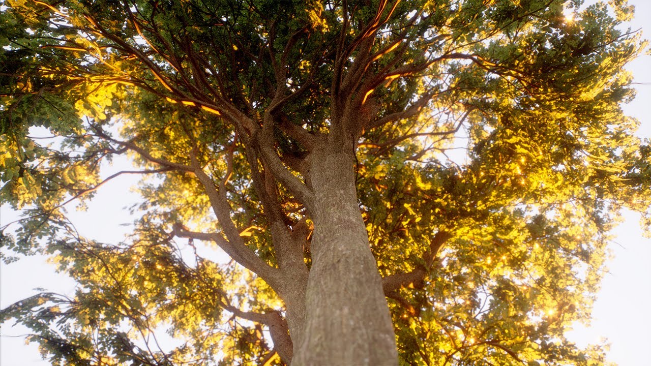 Speedier Trees in Houdini: Botanically inspired production - does it ...