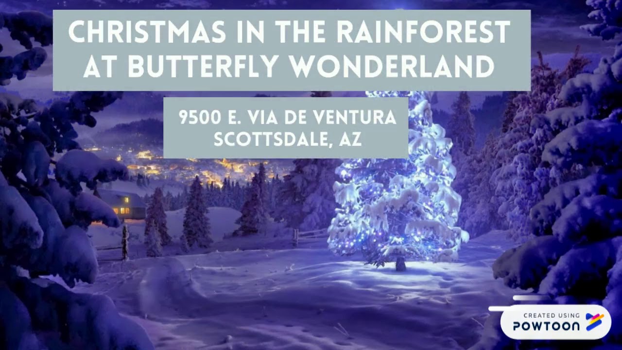 Christmas Events In Phoenix Arizona YouTube christmas-events-in-phoenix-arizona-youtube