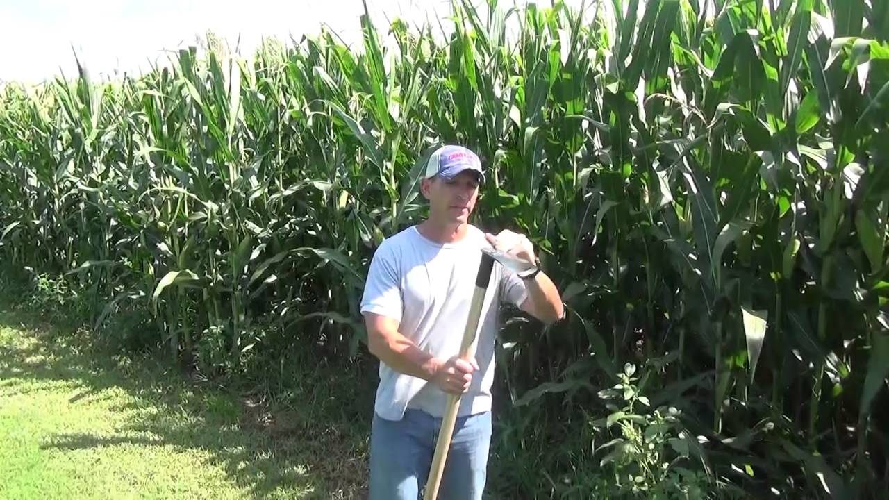 Rogue™ Field Hoes - YouTube