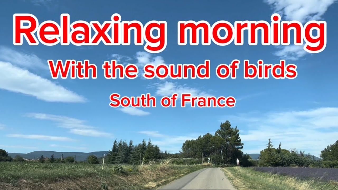 Relaxing morning with the sound of birds - South of France #Nature ...