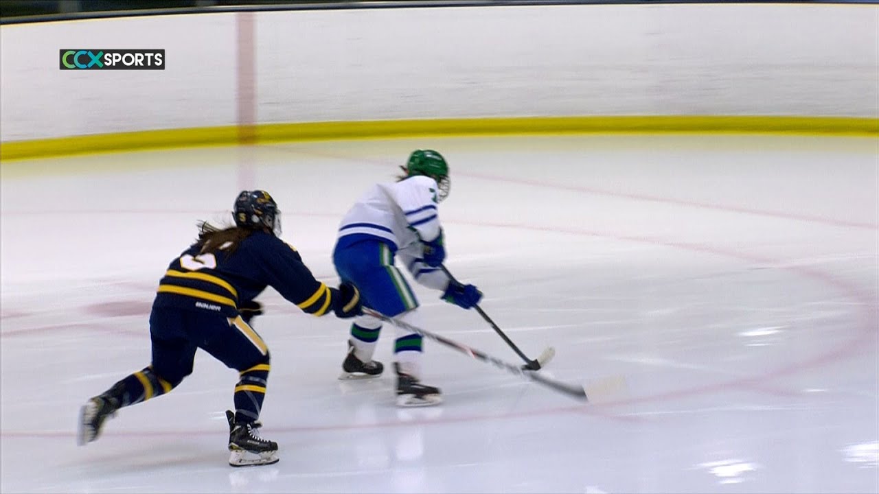 Wayzata Girls Hockey Moves into 6AA Final - YouTube