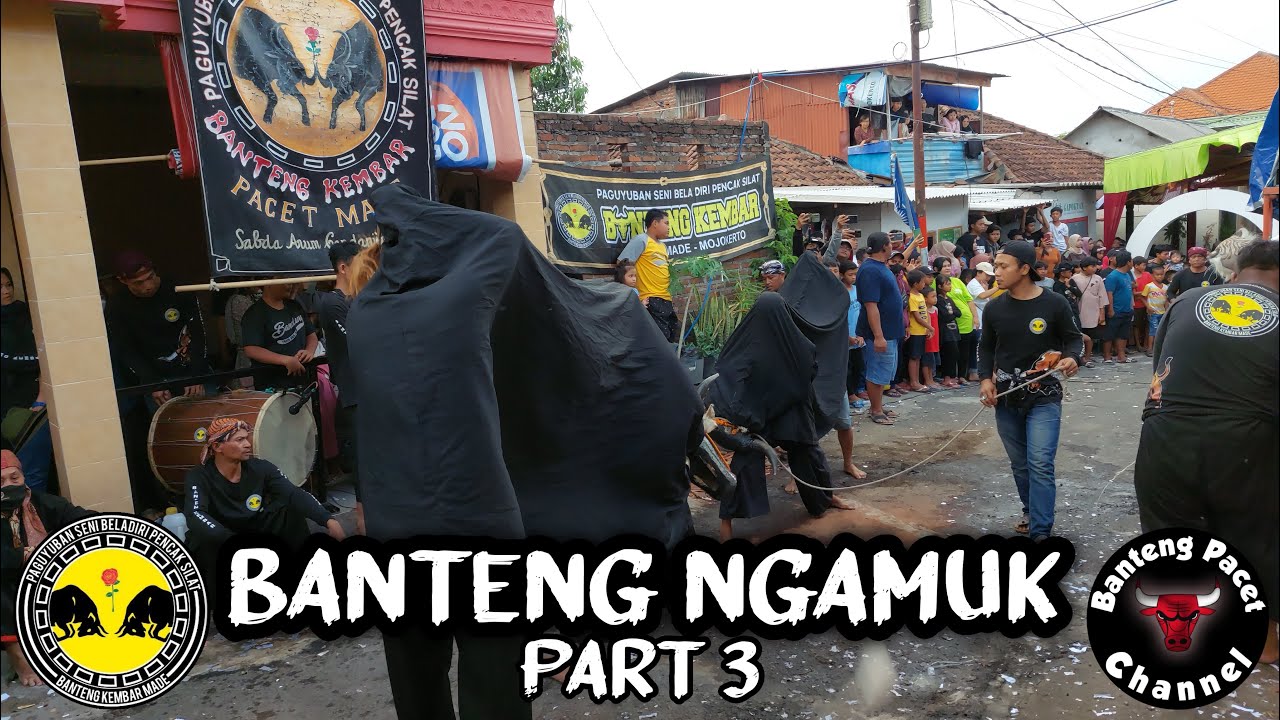 Banteng Kembar Live Kembang Sore || Banteng Ngamuk - YouTube