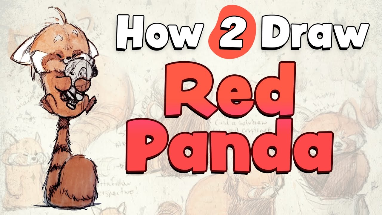 How 2 draw Red Pandas! - YouTube